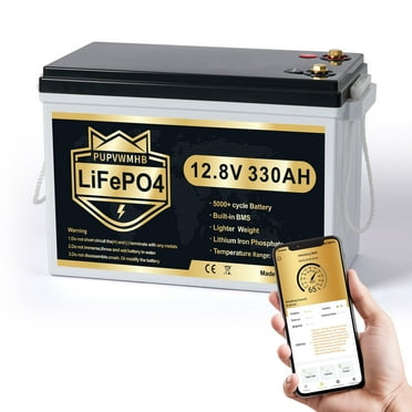 Power Queen 12V 200Ah PLUS Low-Temp Cut-off LiFePO4 Lithium Battery 2560Wh 200A BMS for RV ...