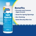 In The Swim Super Algaecide - Kills Algae, Low Odor, Non-Foaming - for ...