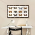 14x26 Collage Picture Frame 4x6 Collage Picture Frame Displays Twelve ...