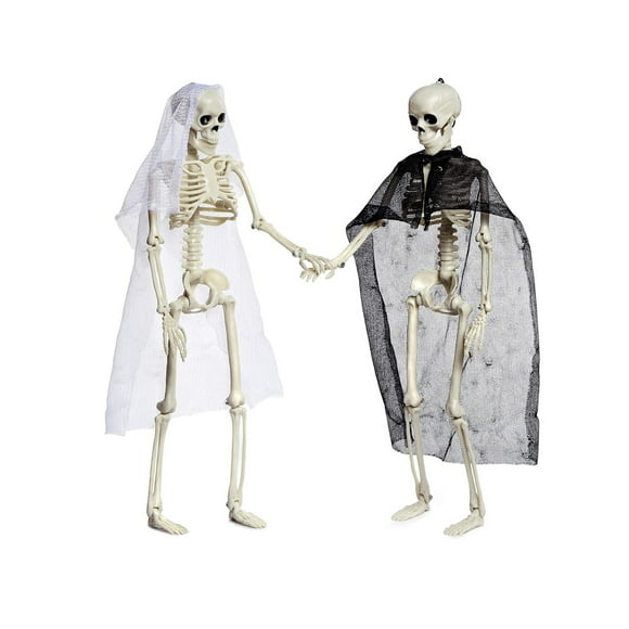Posable Skeleton