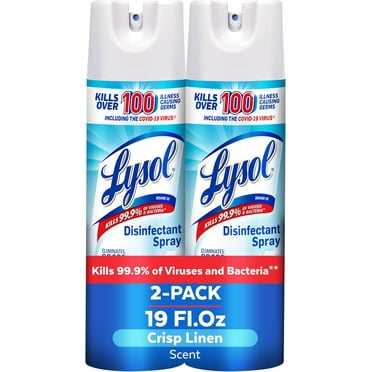 Lysol Professional IC Disinfectant Spray, 19oz with Control Flo Valve ...