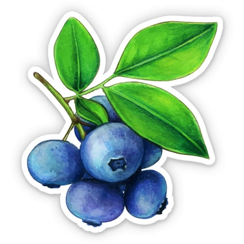 Blueberries Pretty Painted - 7" Vinyl Sticker - For Car Laptop I-Pad ...