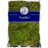 ProFlora Preserved Forest Moss, True Green, 320 CU IN - Walmart.com