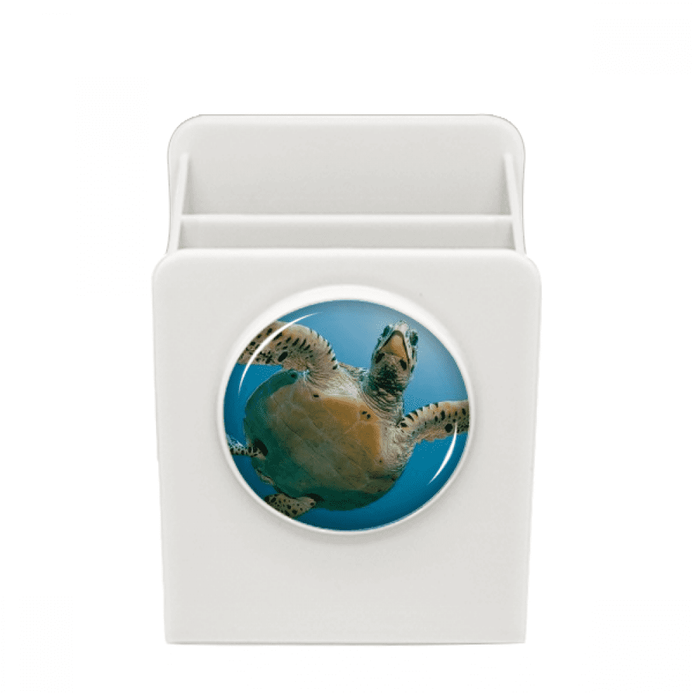 Ocean Blue Water Turtle Science Nature Picture Desk Pencil Holder Cup ...