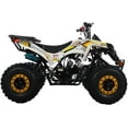 X-Pro Brand New 125cc Gas ATV, Automatic Transmission w/Reverse ...
