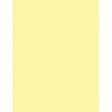 Click here for Domtar 81009 Lettermark Multipurpose Coloured Pape... prices