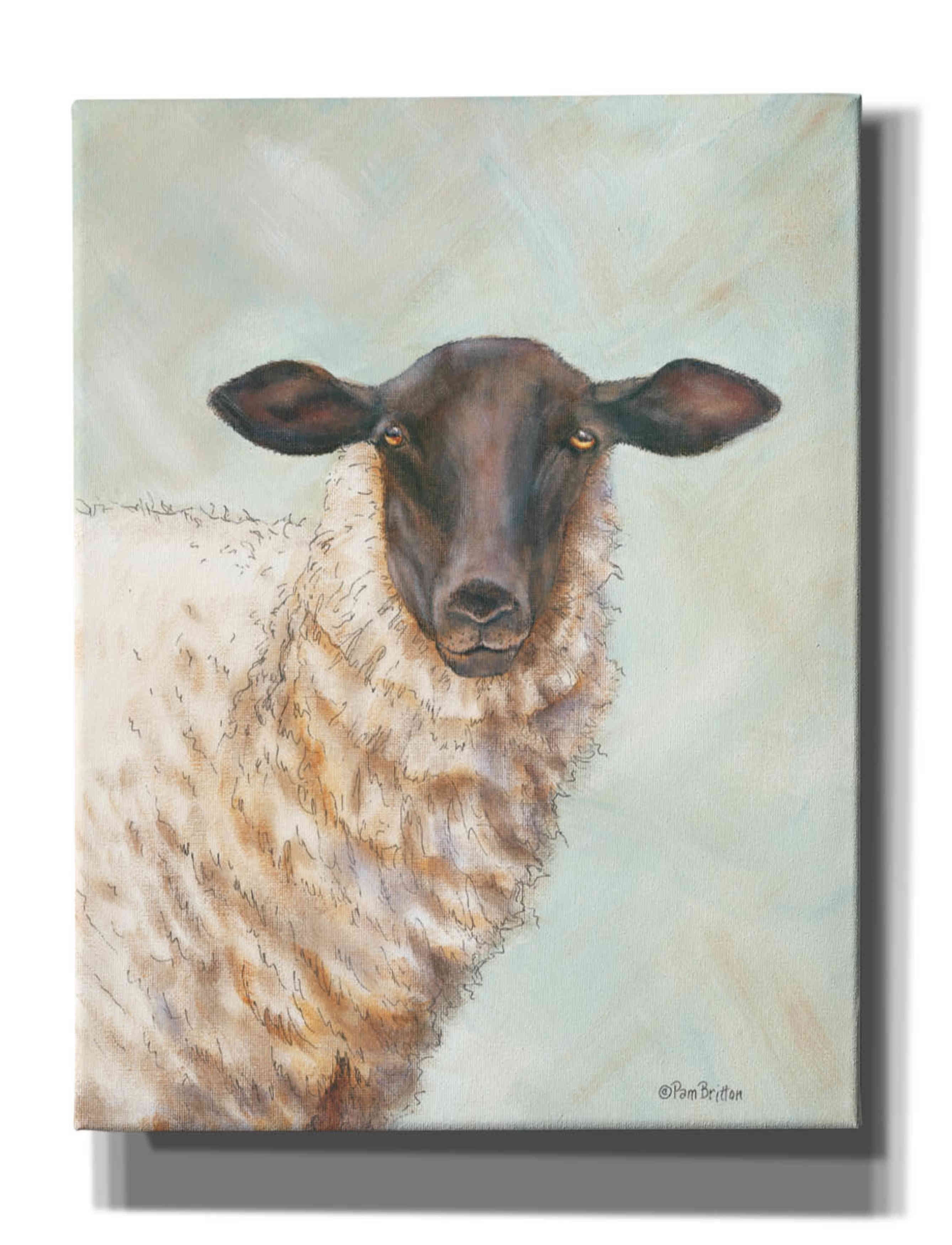 Epic Graffiti 'Farm Sheep' by Pam Britton, Canvas Wall Art, 26"x34 ...