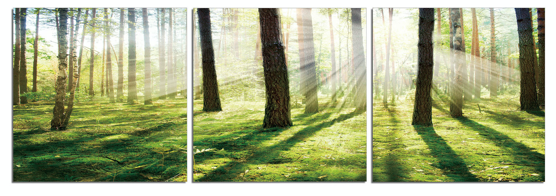 3 Panel Photo Big Canvas Wall Art - Sunlight Reflection - 3 Panel ...