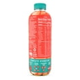 ROAR Organic Hydration Variety Pack 12 x 18 oz with Flavors and ...