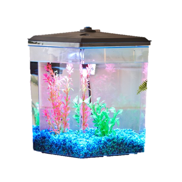 Aqua Culture 2.5-Gallon Aquarium Kit Plastic with LED Lighting and ...