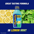 Mylanta for Heartburn, Acid Reflux, & Gas Relief, Liquid Antacid ...
