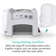 Evap40 4-Gallon Evaporative Humidifier with Adjustable Humidistat and 3 ...