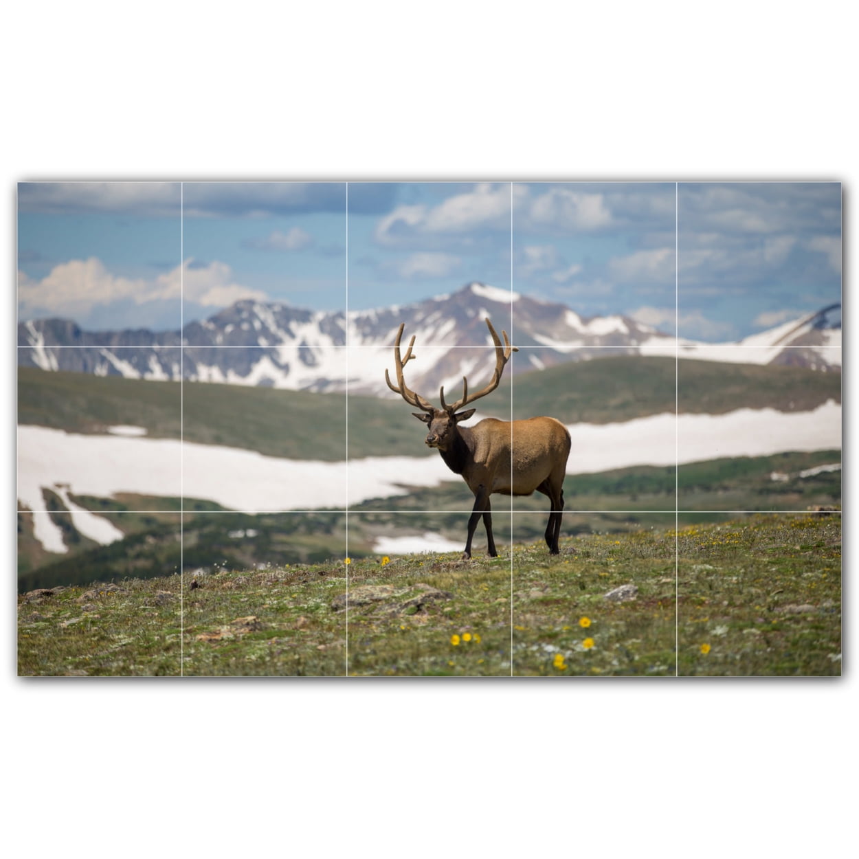 Picture-Tiles.com: Deer Ceramic Tile Wall Mural WAL500445-53XL. 60"W x ...