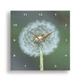 3drose, Washington State, Dandelion Head Seed with Fine Hair-like ...