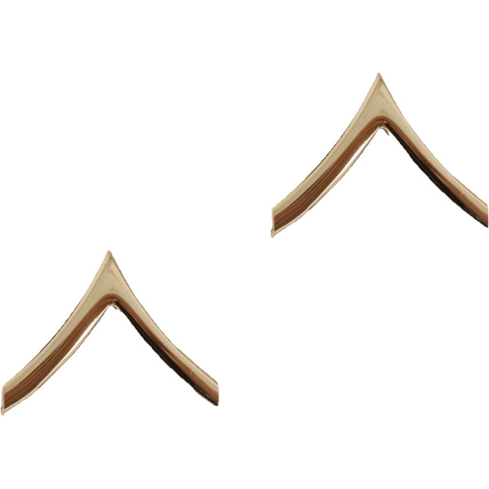 Polished - Military Private Pin-On Insignia Pair PVT - Walmart.com