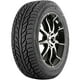 Cooper Weather-Master WSC Winter Tire - 245/50R20 102T - Walmart.com