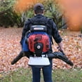 Twinstorm Outdoor Gas Powered Dual Cannon Leaf Backpack Blower ...