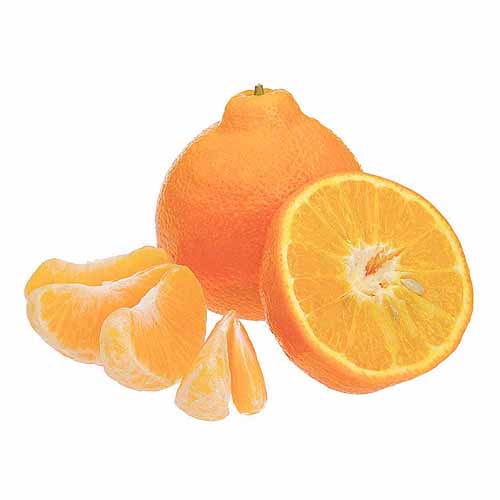 Tangelo