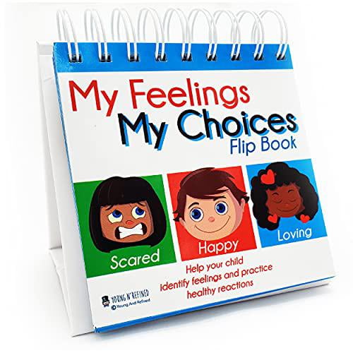 my feelings my choices flip book tool for teaching handling 22 ...