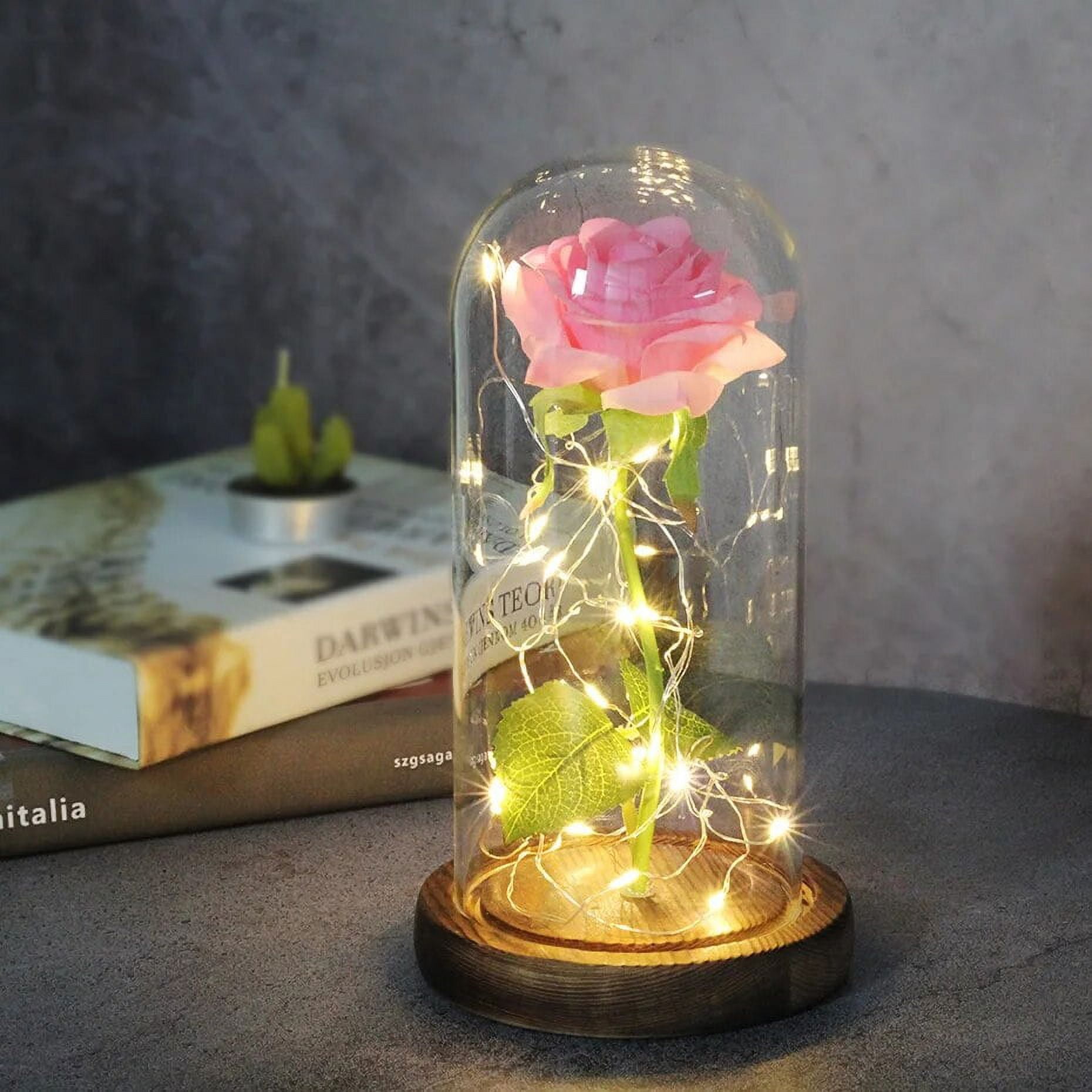 Rosa eterna de La Bella y La Bestia, flor Artificial con luces de hadas ...