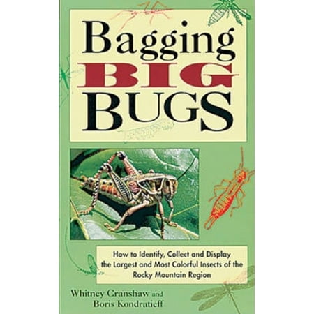 Bagging Big Bugs: How to Identify, Collect, and Display the Largest and ...