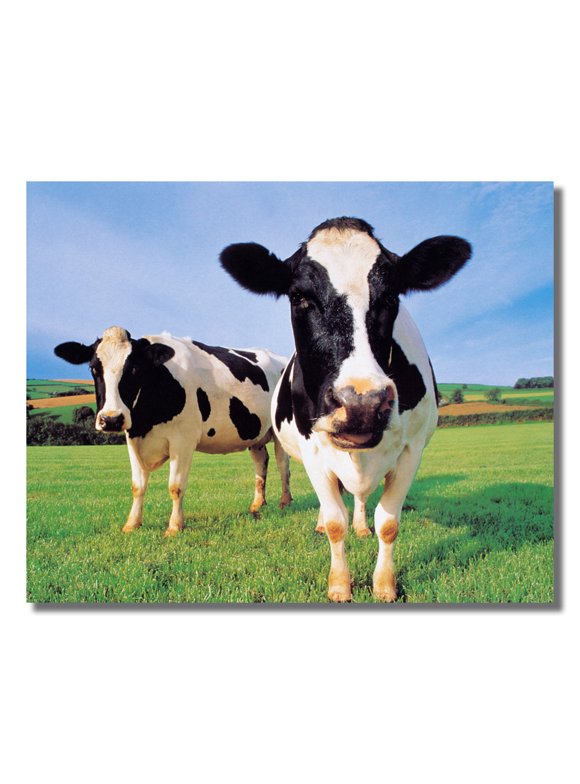 Framed Wall Art in Wall Art - Walmart.com