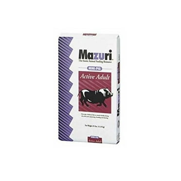 Mazuri 2.5 lbs Chinchilla Diet - Walmart.com