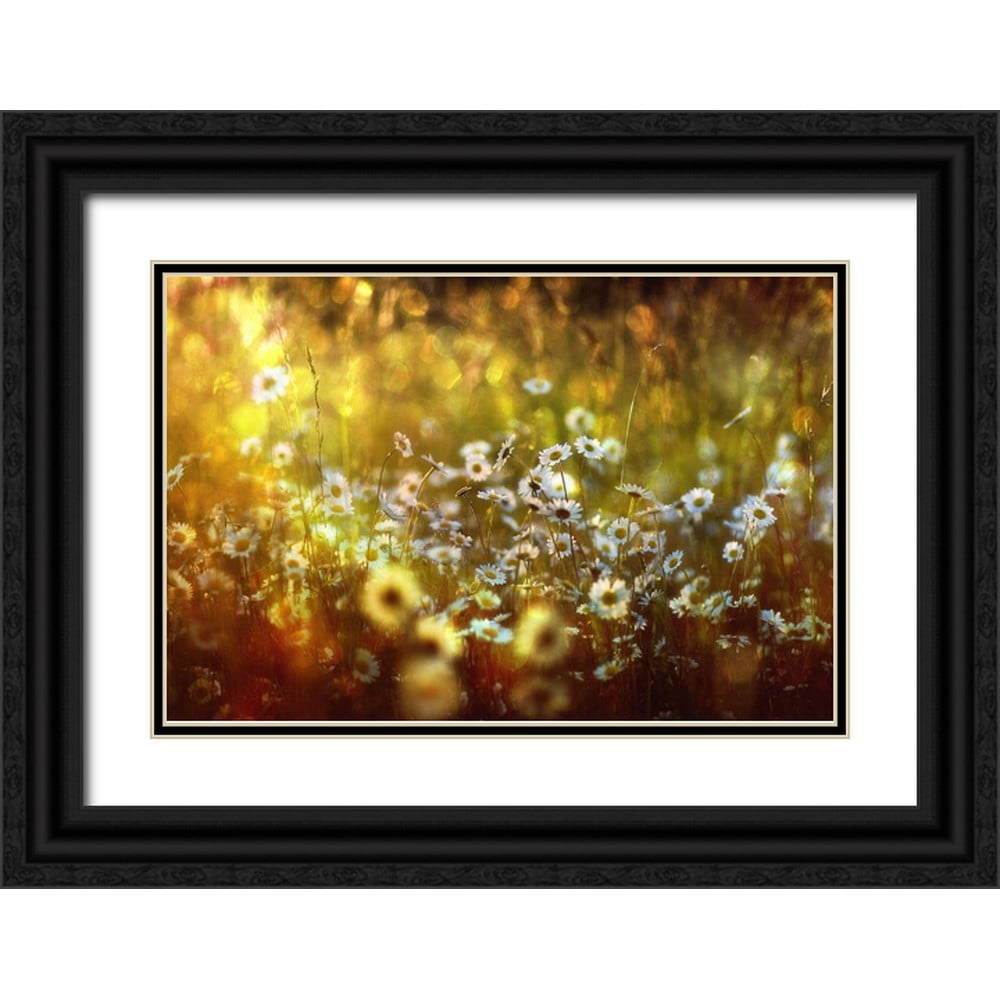 Eisele, Stefan 24x17 Black Ornate Wood Framed with Double Matting ...