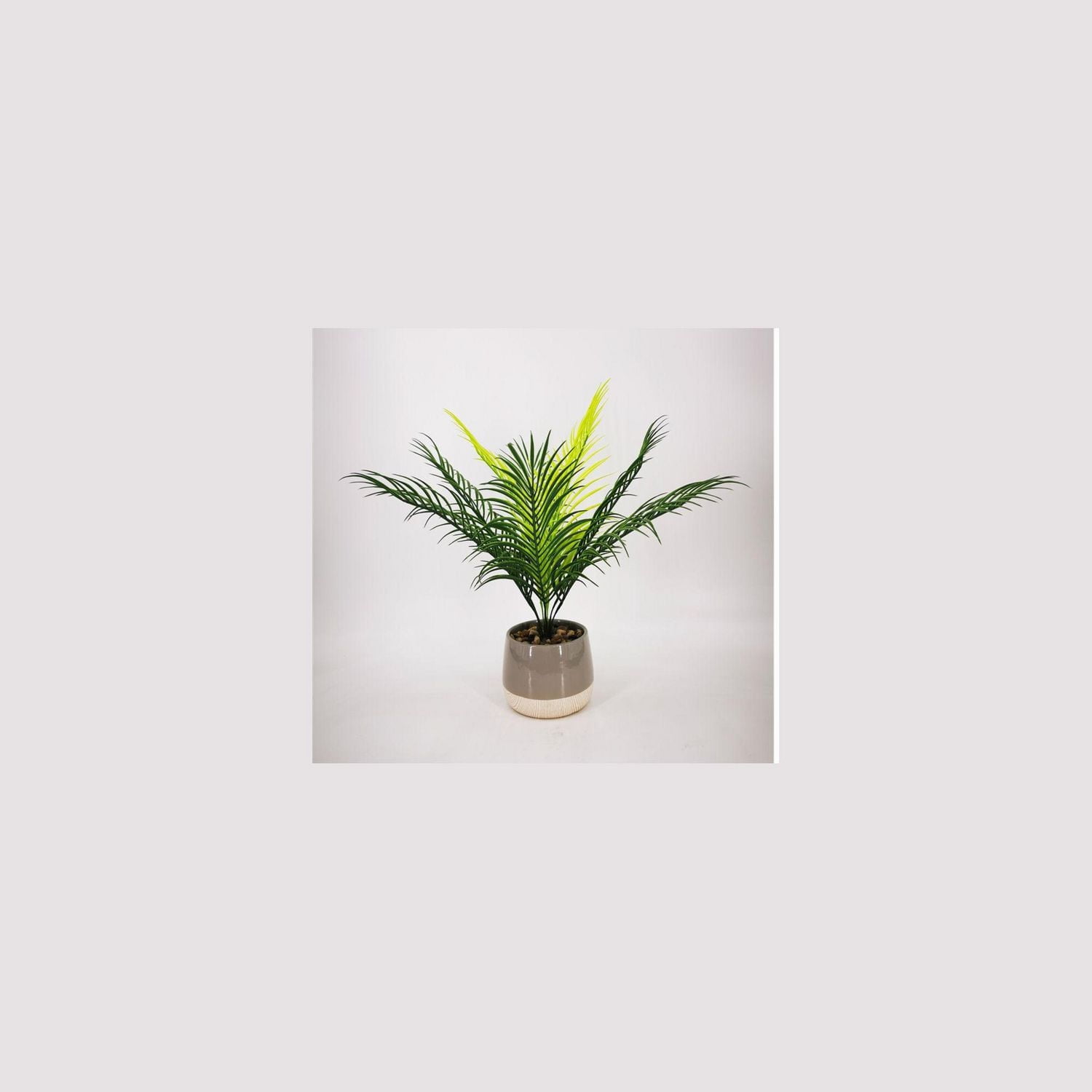 Click here for Lerman Decor Inc Lerman Decors Tropical Potted Pla... prices