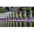 Touch Of Eco Solar LED Halloween String Lights, 68 Feet, Purple ...