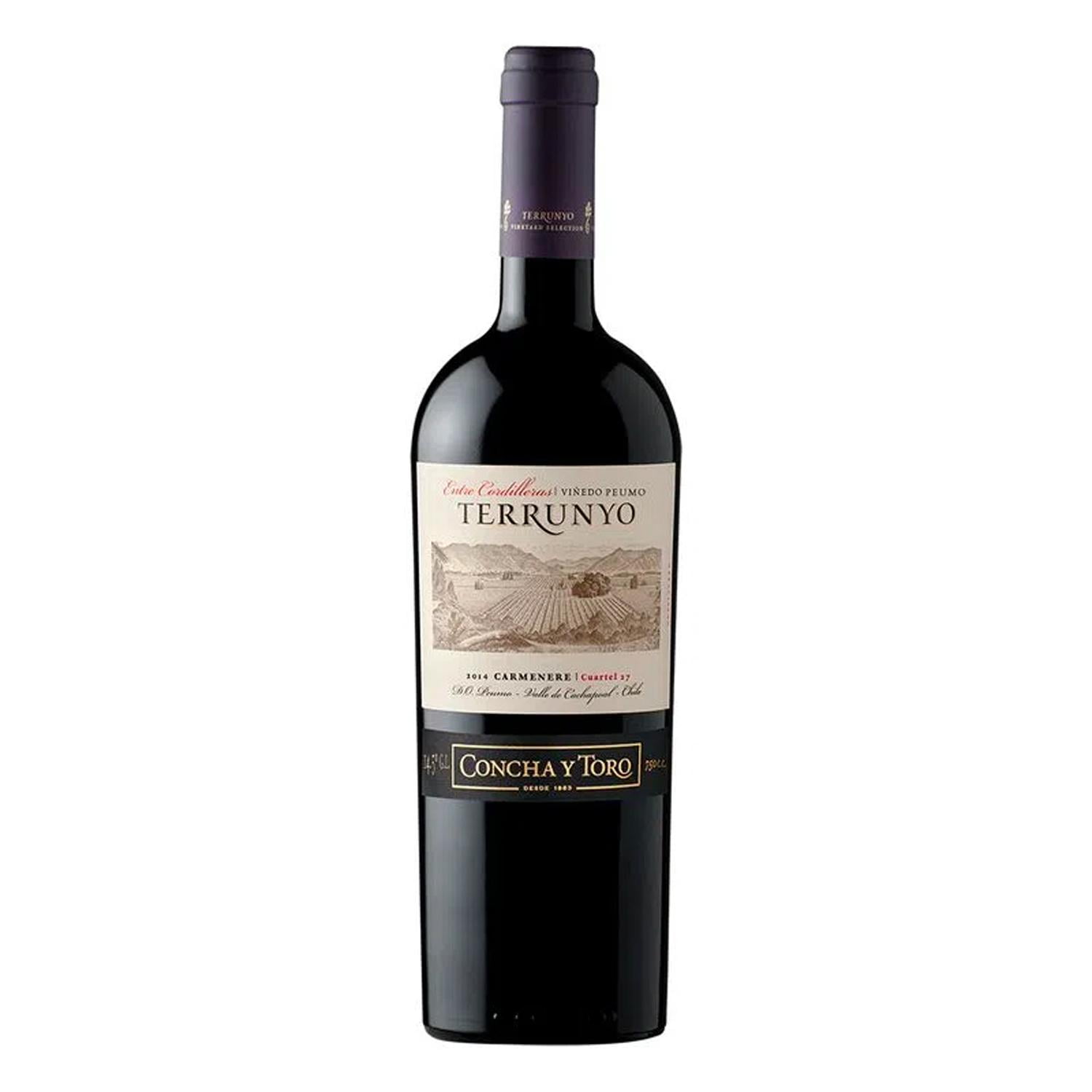 Pack de 12 Vino Tinto Terrunyo Carmenere 750 ml | Walmart en línea
