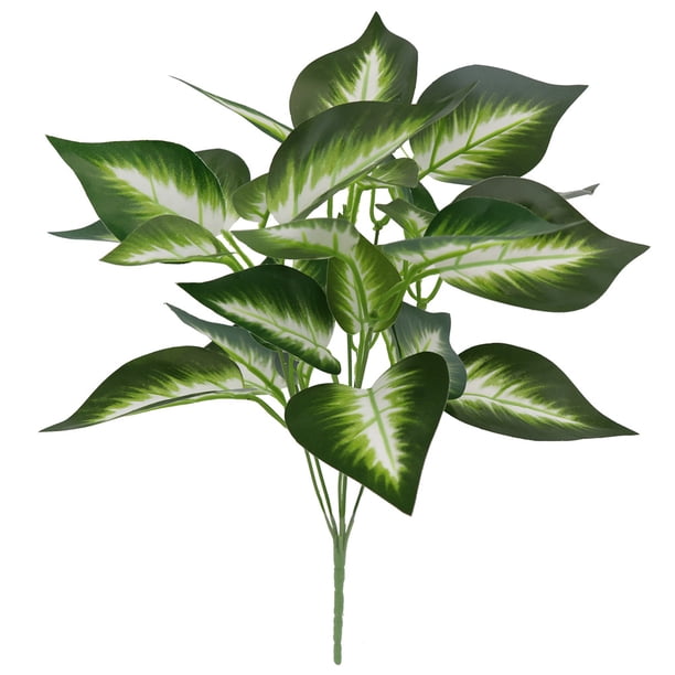 Plant Core