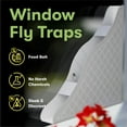 BUGMD Sticky Window Fly Traps - Indoor Fly Catcher, House Fly Killer ...