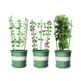 Outdoor 2-Pack Wire Plant Support Tomato Cage, Trellis Climbing Ring ...