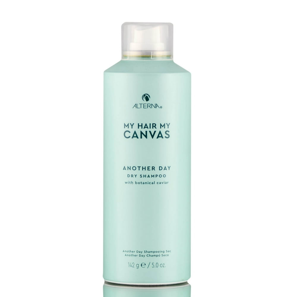 Alterna My Hair My Canvas Another Day Dry Shampoo - 5 oz - Walmart.com ...