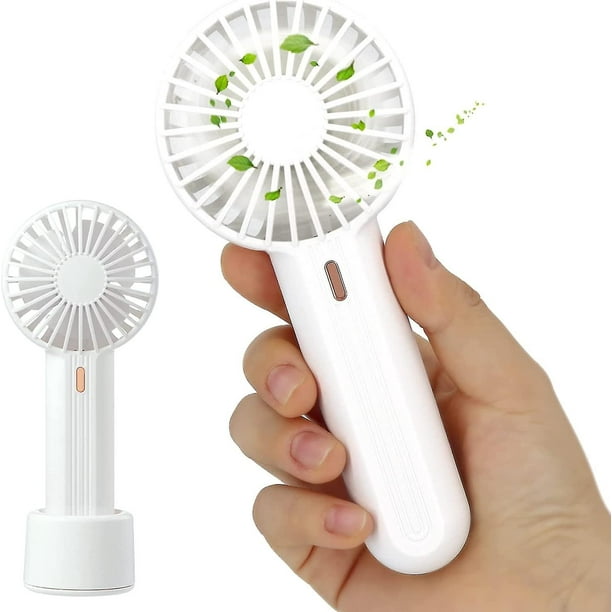 Personal fan portable store