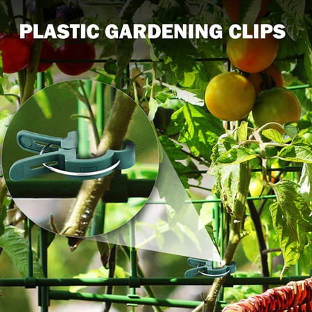 Lutabuo Fixed Clamp Eco-friendly Flowers Stem Vines Grape Clamp for ...