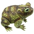 Nicky Bigs Novelties Realistic Giant Latex Frog/Toad Prop, Multi, 10 ...