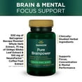 Swanson Pure Brainpower 60 Vegan Caps 4 Pack - Walmart.com