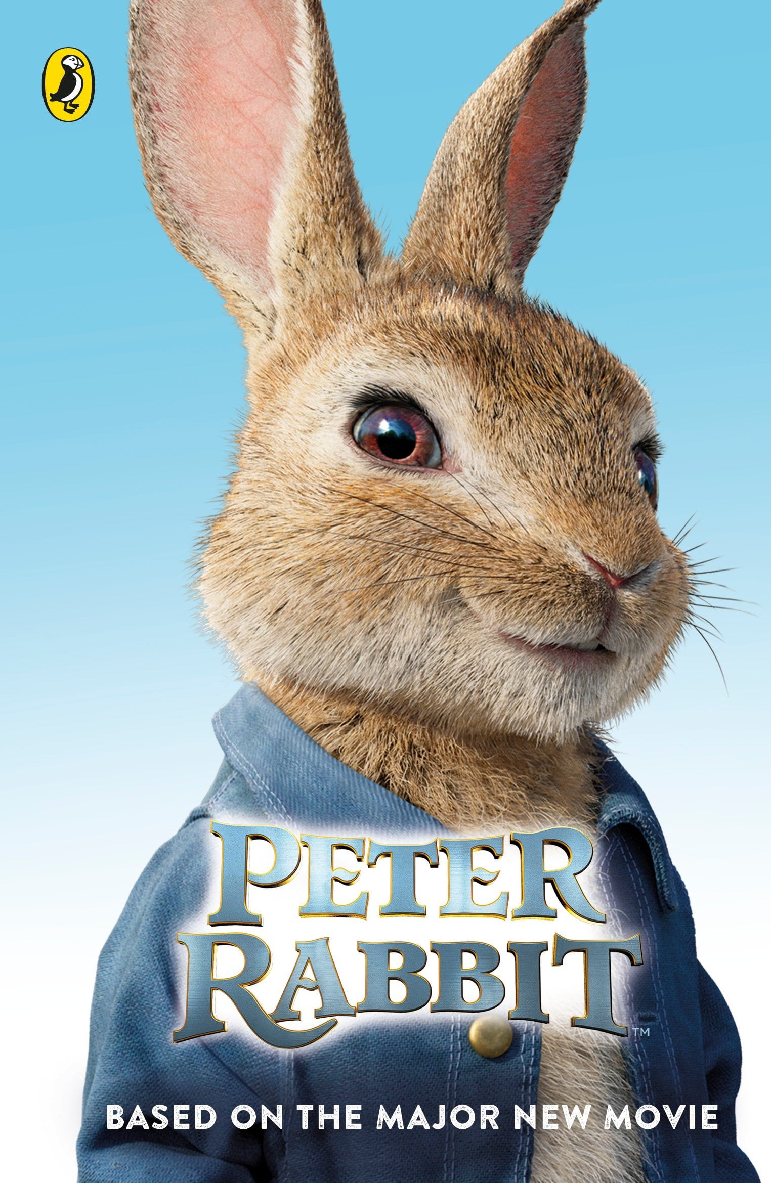 Peter Rabbit: Based on the Major New Movie - Walmart.com