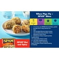 SPAM Hot & Spicy, Shelf-Stable 12 oz Aluminum Can, Spicy Flavored Meat ...