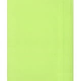 The Amazing Bone, (Hardcover) - Walmart.com