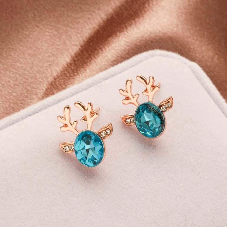 Plug Earrings For Women