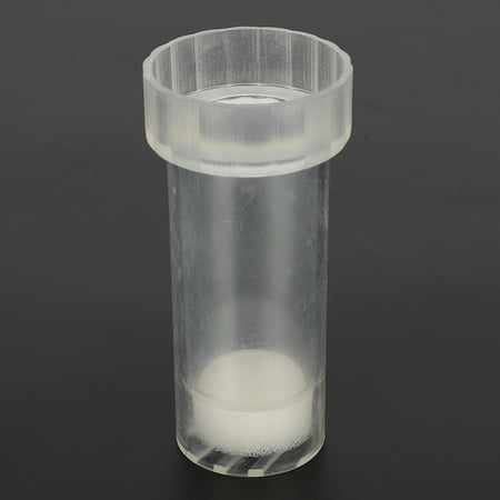 Queen Bee Labeled Bottle, Beekeeping Queen Bee Labeled Bottle, Queen ...