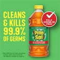 Pine-Sol Original Multi-Purpose Liquid Cleaner, 24 oz Bottle - Walmart.com