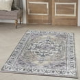 Nourison Brilliance Machine Washable Persian Beige Multicolor 4' x 6 ...