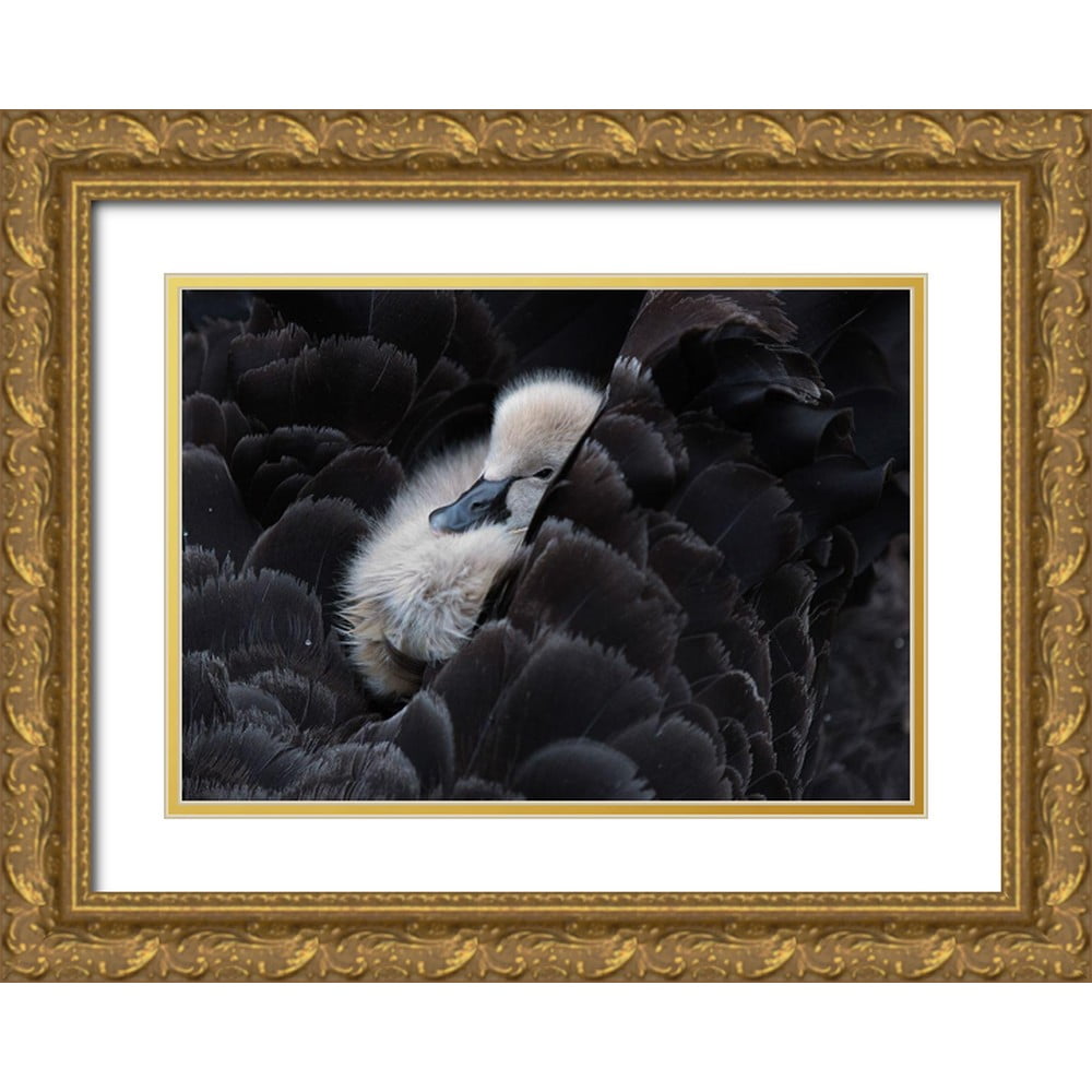 Tjandra, C.S. 32x24 Gold Ornate Wood Framed with Double Matting Museum ...