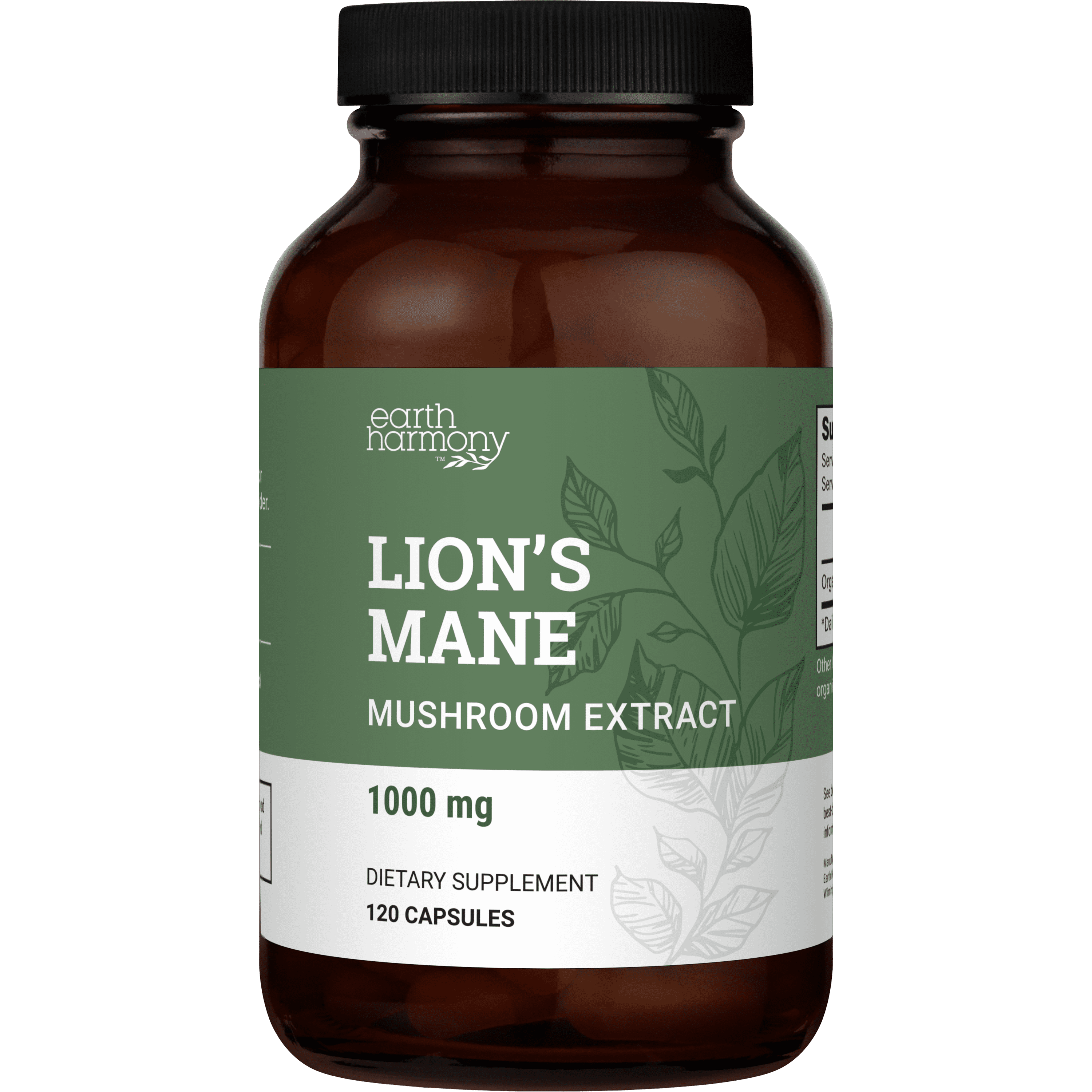 Lions Mane Mushroom Supplement 1000 mg - Lion's Mane Extract - 120 ...