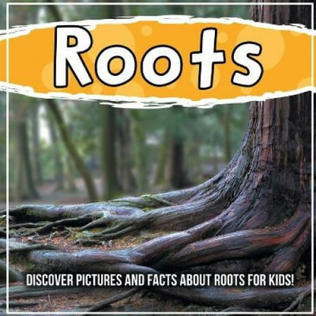 Roots: Discover Pictures and Facts About Roots For Kids! | Walmart Canada