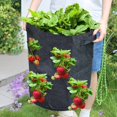 5/7/10 Gallon Strawberry Grow Bag with Handles, Multi Opening Fabric ...